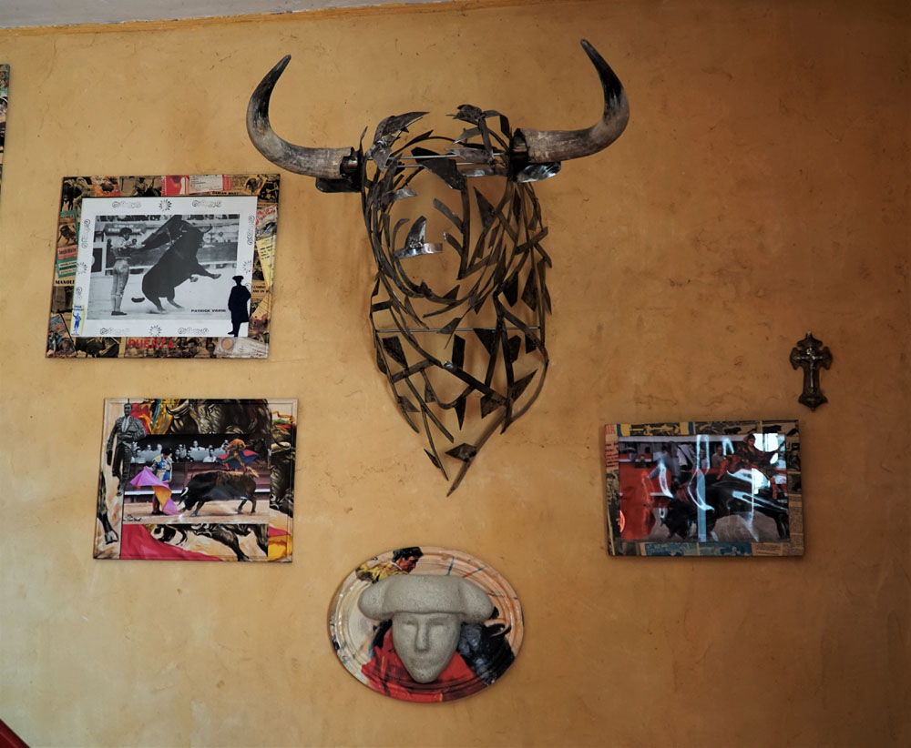 Patrick Varin : Taureau Passion - Voir Plus