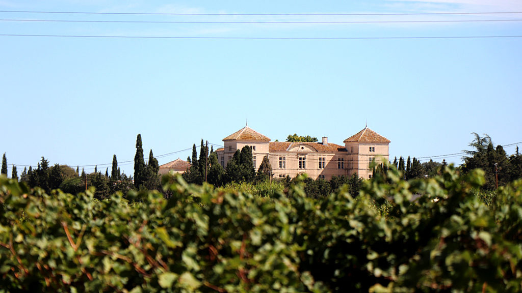 La technologie est maîtresse des lieux au Domaine du Vistre - Voir Plus